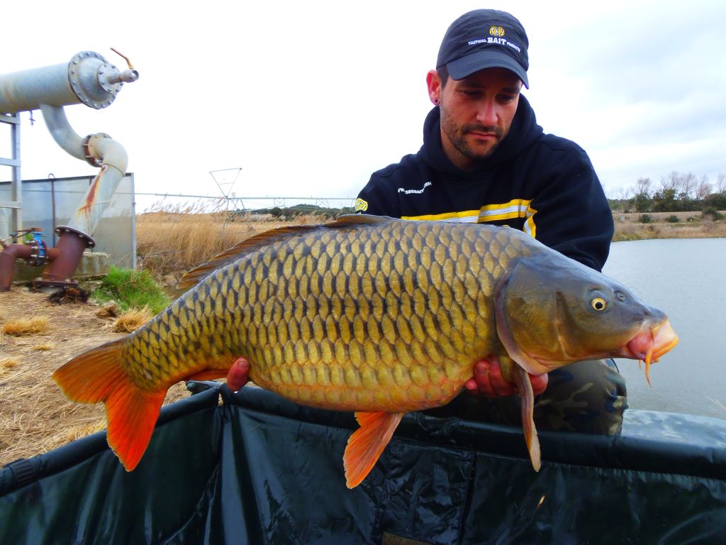 Los cebos y sus estciones - SBS Baits