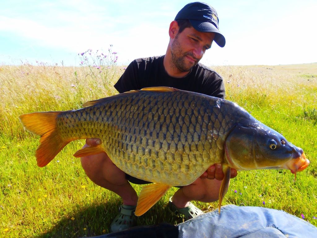 Los cebos y sus estciones - SBS Baits