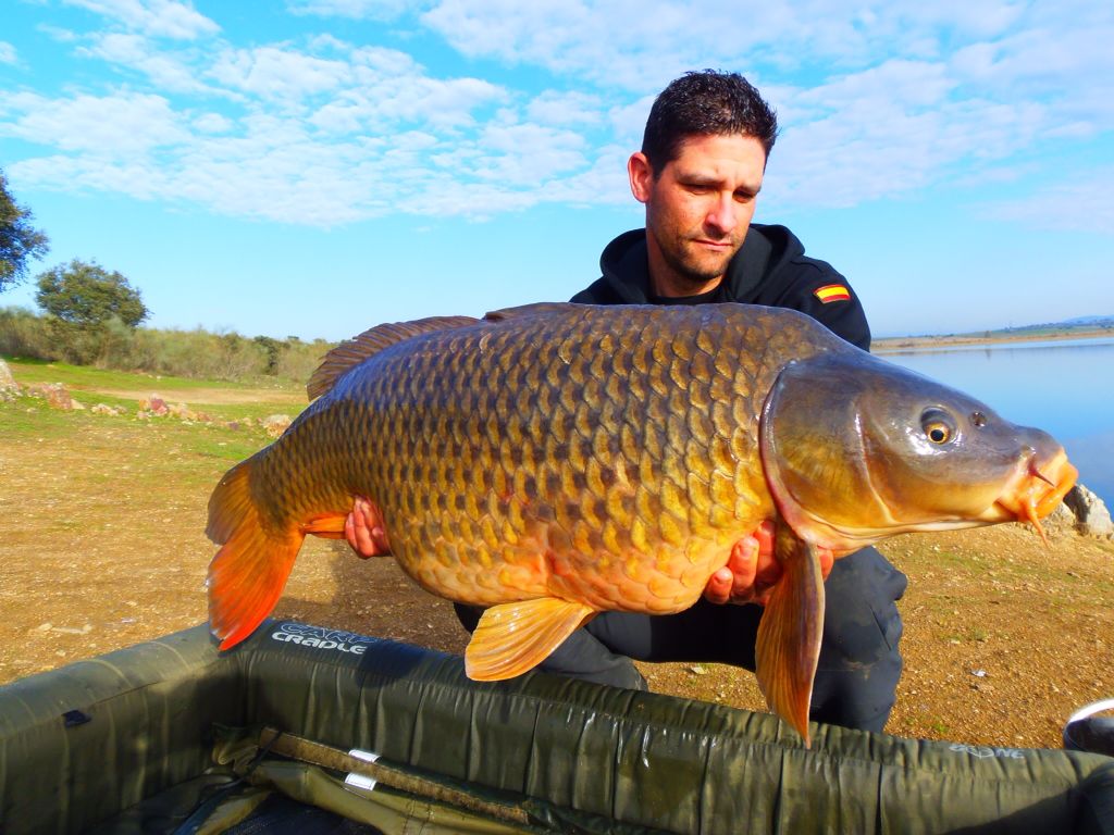 Los cebos y sus estciones - SBS Baits