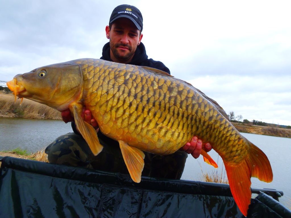 Los cebos y sus estciones - SBS Baits